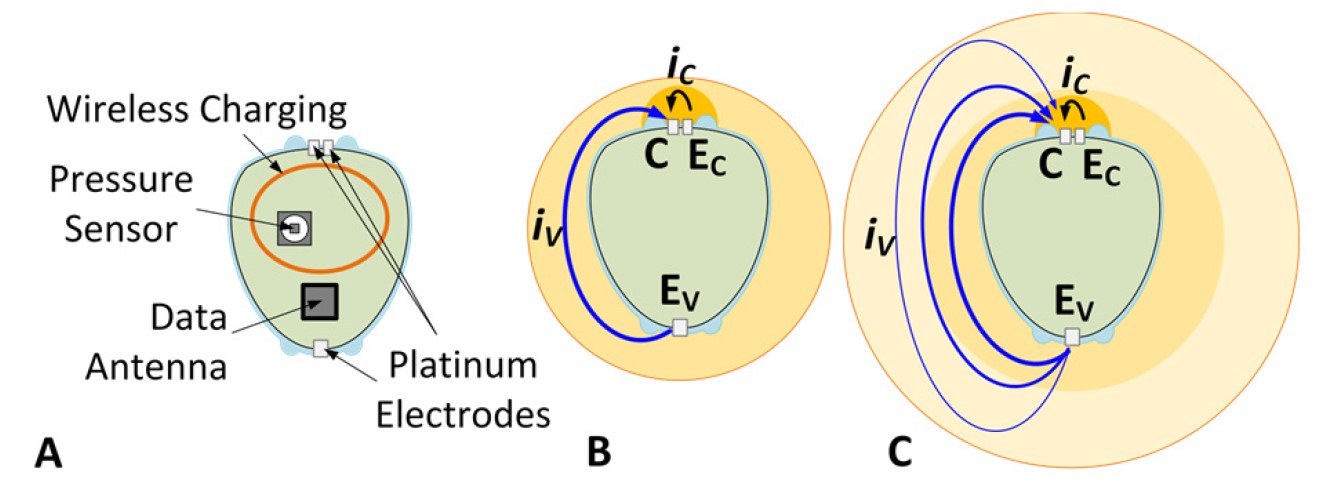 Three upcoming publications at IEEE Sensors 2022 - SensRx Lab